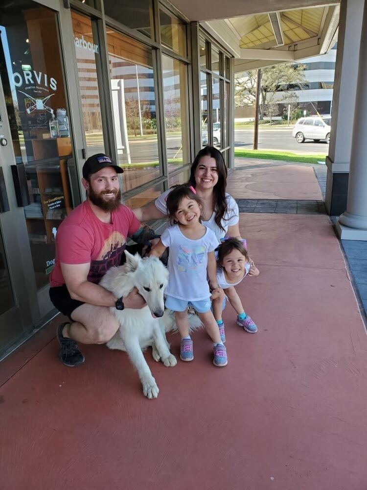 Alabaster – Greater Houston German Shepherd Dog Rescue