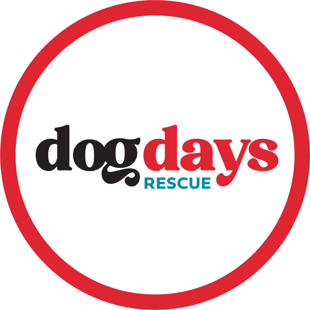 Wagtopia Best Microchip Registry Passive Geolocation Smart Tags And
